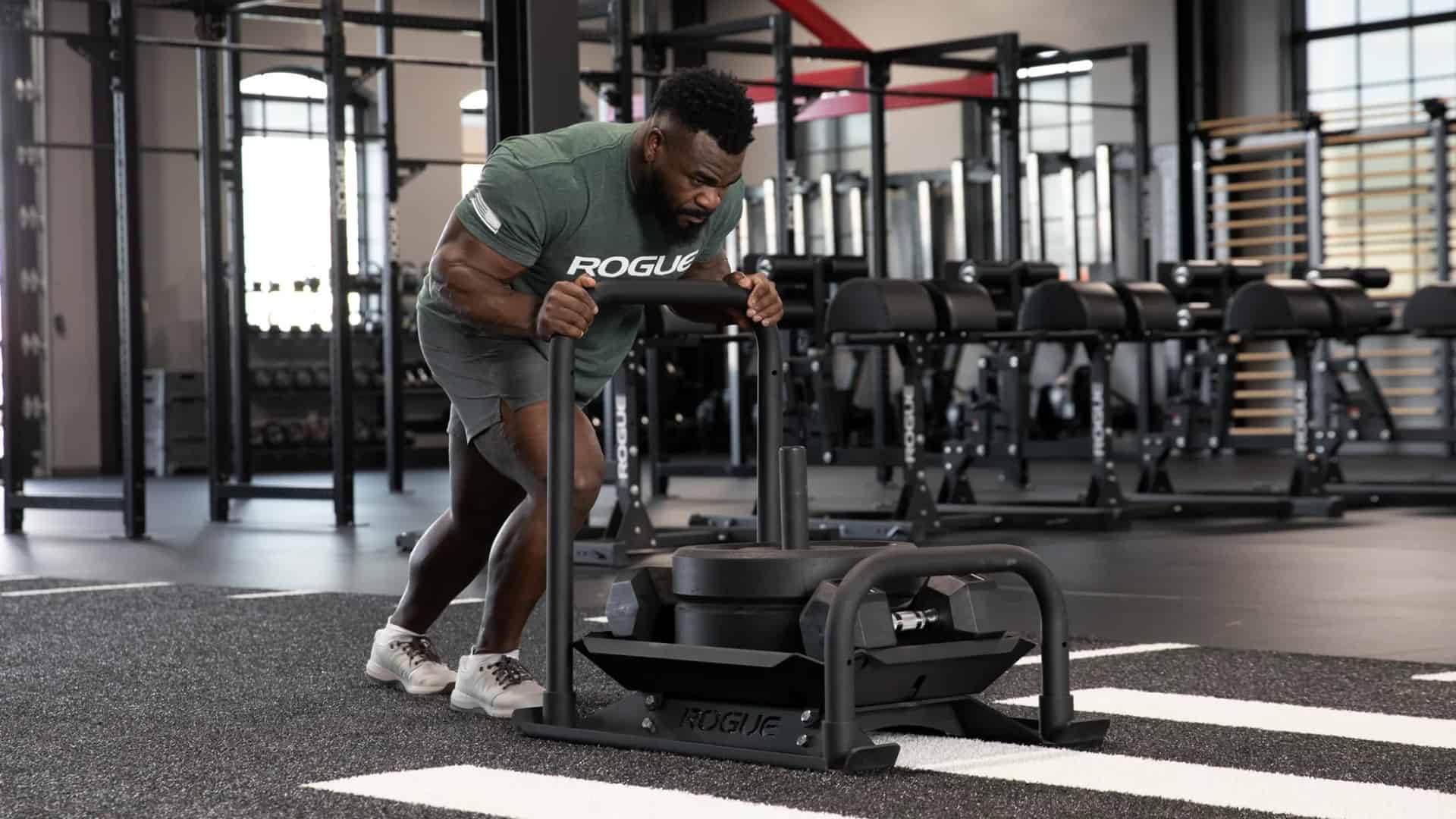 Alpaca Sled from Rogue - Fit at Midlife