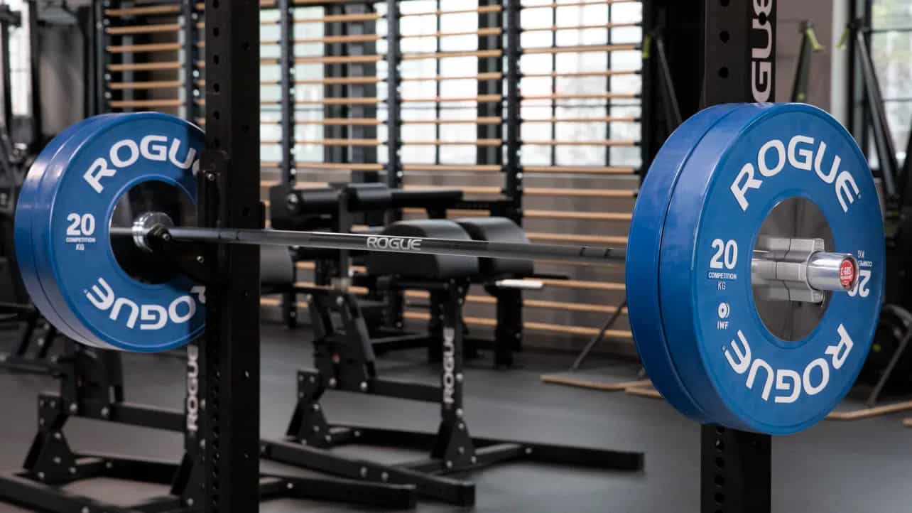 Rogue 29mm Stump Bar - Shorty Ohio Bar in Stainless Steel - Fit at Midlife