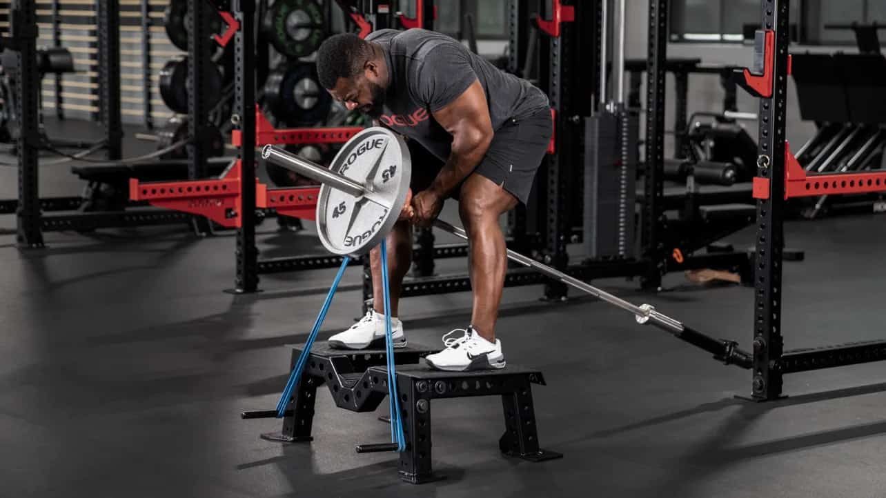 Rogue Indy T-Bar Row - Fit at Midlife