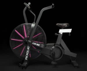 Rogue Echo Bike Review - Fit at Midlife